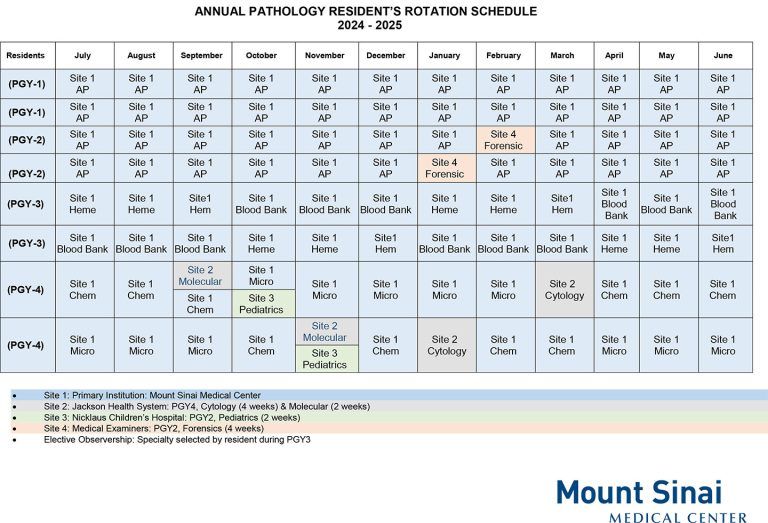 Pathology Residency at Mount Sinai Medical Center